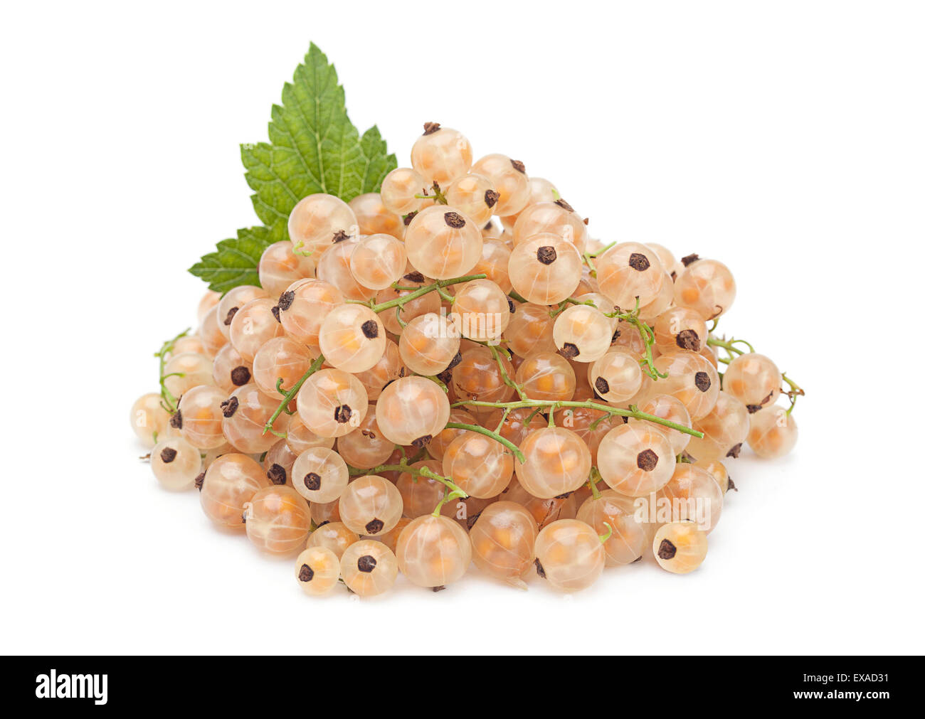 White currant white currant hi-res stock photography and images - Alamy