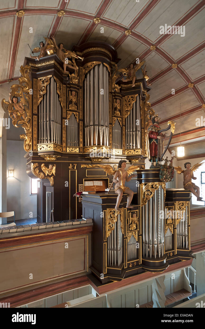 German Baroque Organ