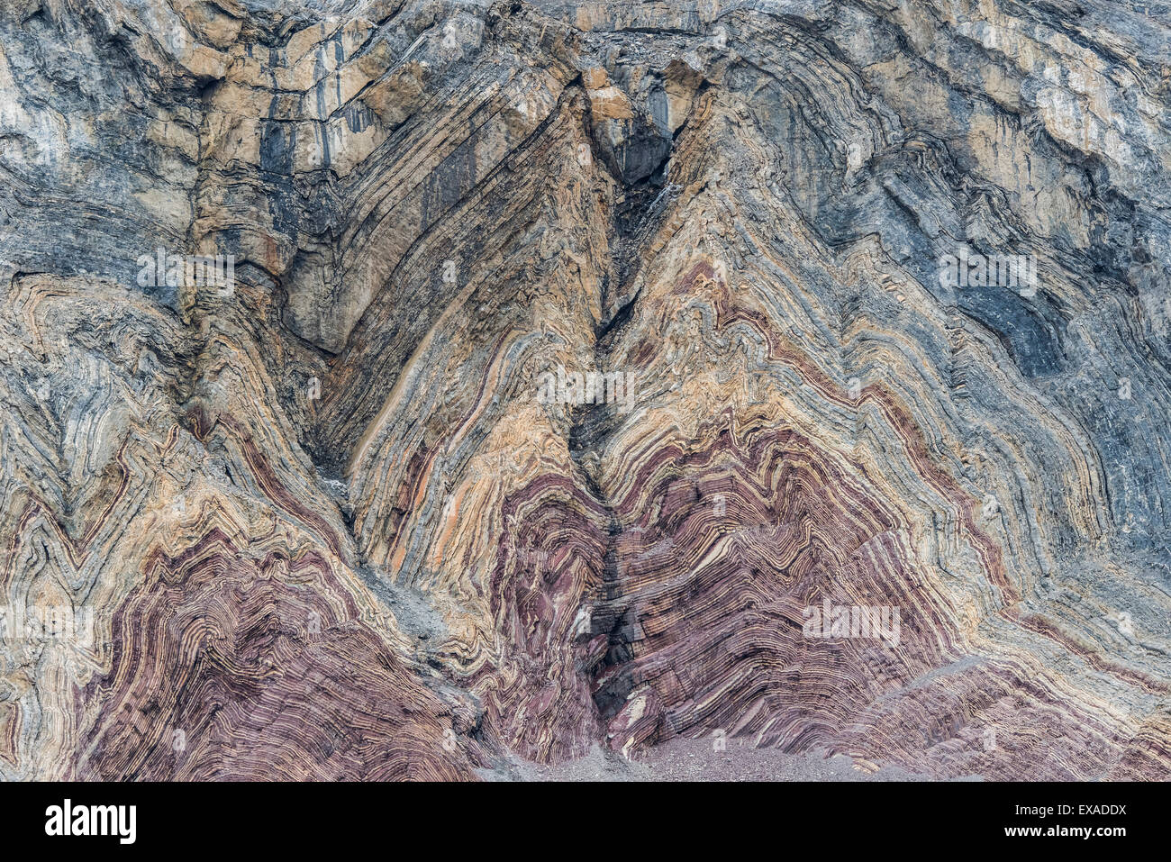 Unfolded former seabed, marine sediments, rock layers, Kong Oscar Fjord ...