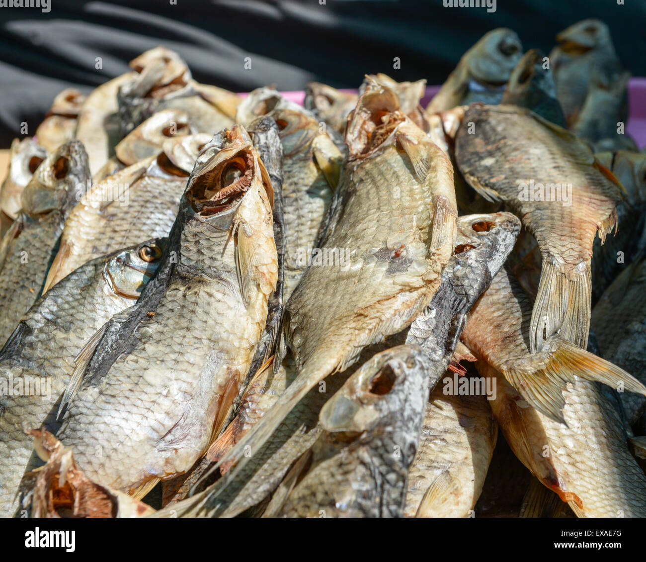 a bunch of all sorts of different dried fish Stock Photo - Alamy