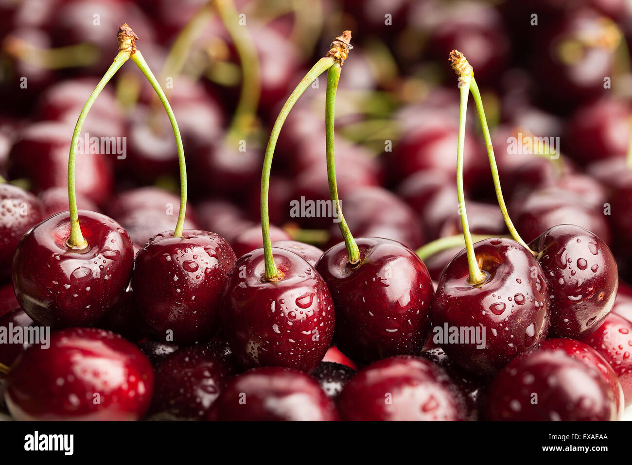 Closeup many summer fruit hi-res stock photography and images - Alamy