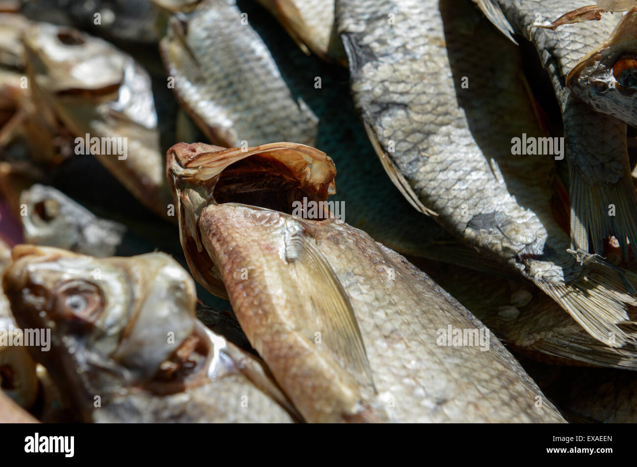 a bunch of all sorts of different dried fish Stock Photo - Alamy