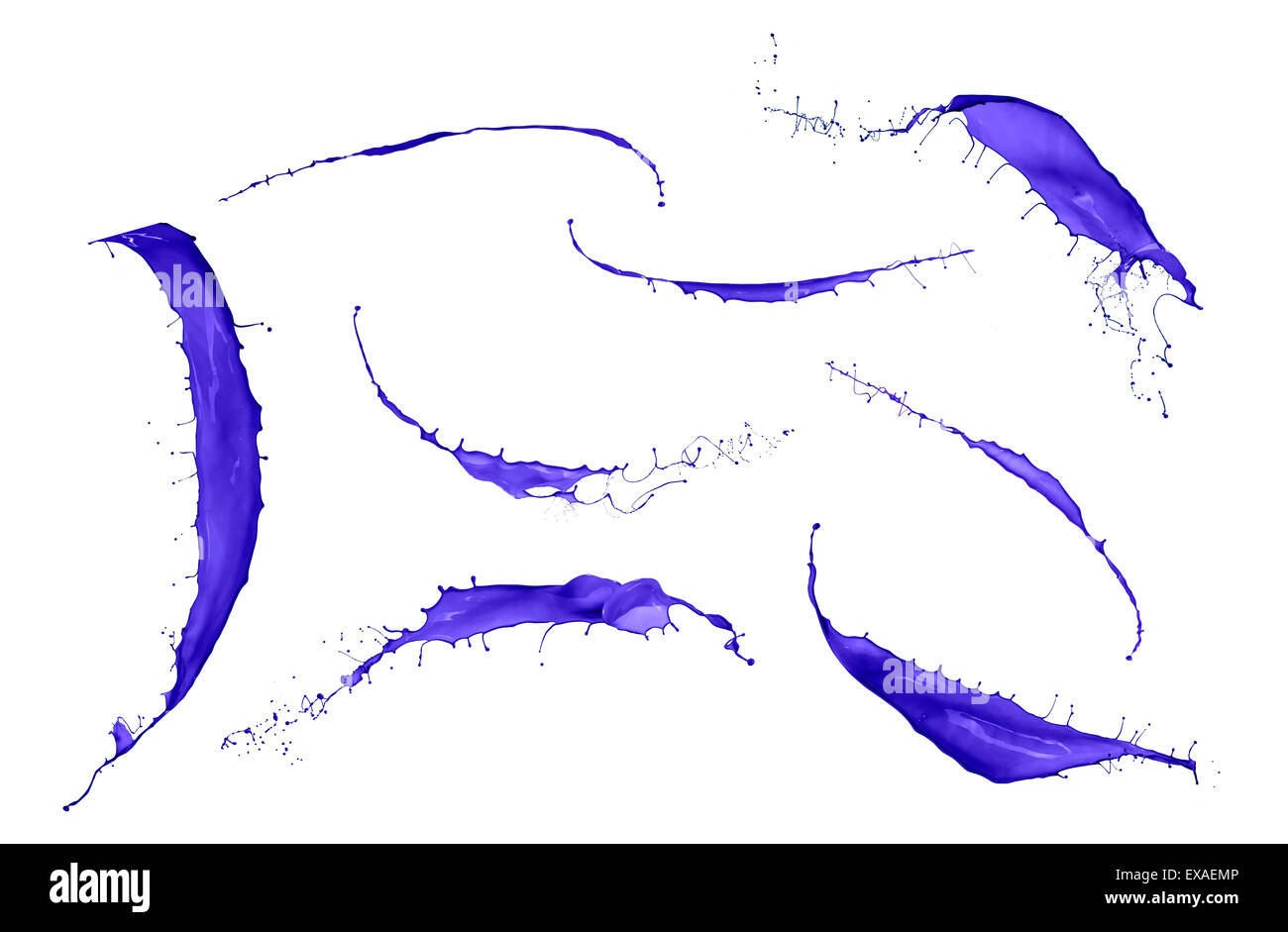 collection of purple paint splashes isolated on white background Stock ...