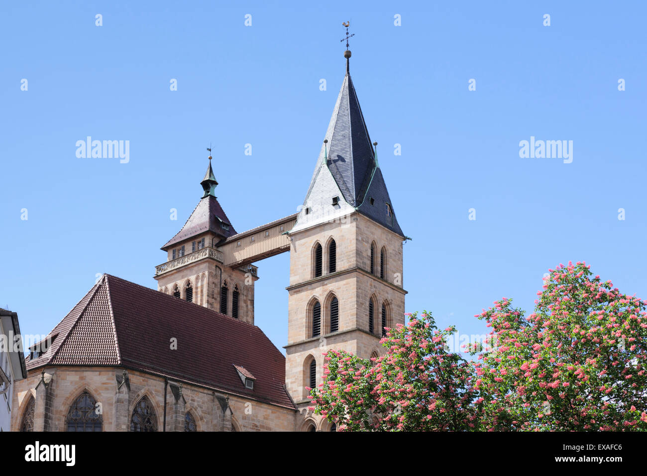 St. Dionysius church (Stadtkirche St. Dionys), Esslingen (Esslingen-am ...