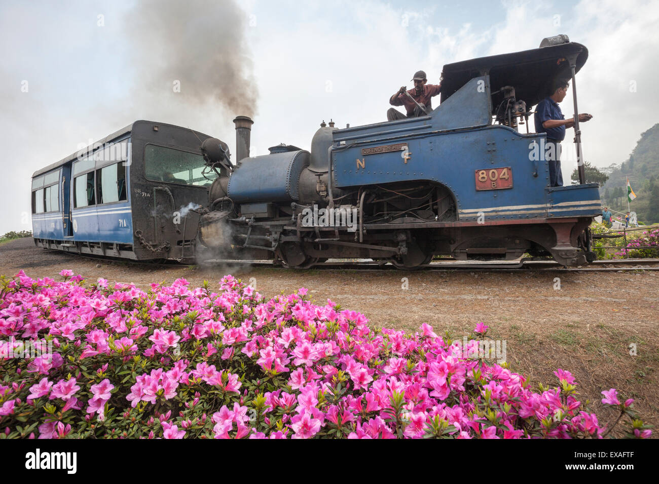 Little train hi-res stock photography and images - Alamy