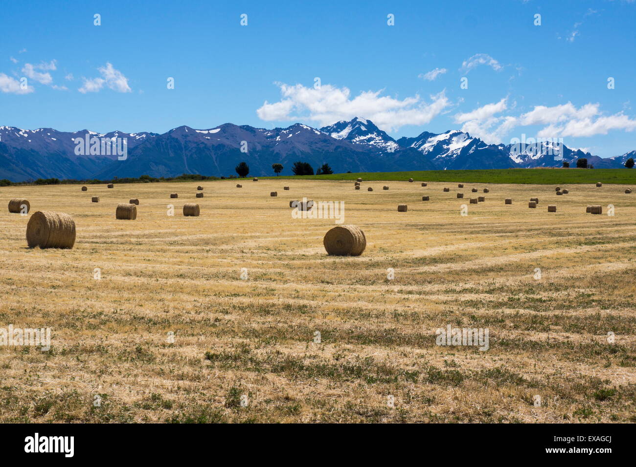 Hay field hi-res stock photography and images - Alamy