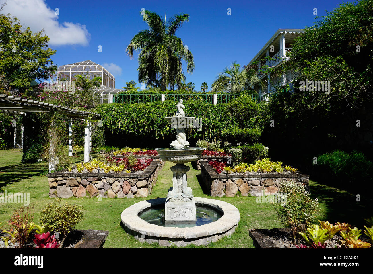 Nevis Botanical Garden, Nevis, St. Kitts and Nevis, Leeward Islands ...