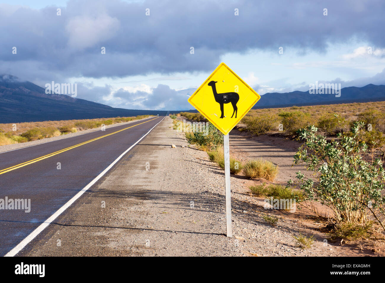 Guanaco sign hi-res stock photography and images - Alamy