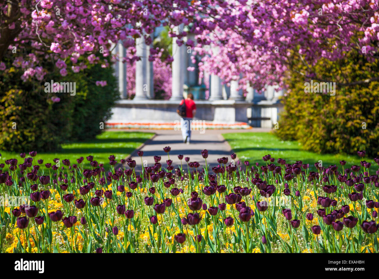 Alexandra gardens hi-res stock photography and images - Alamy