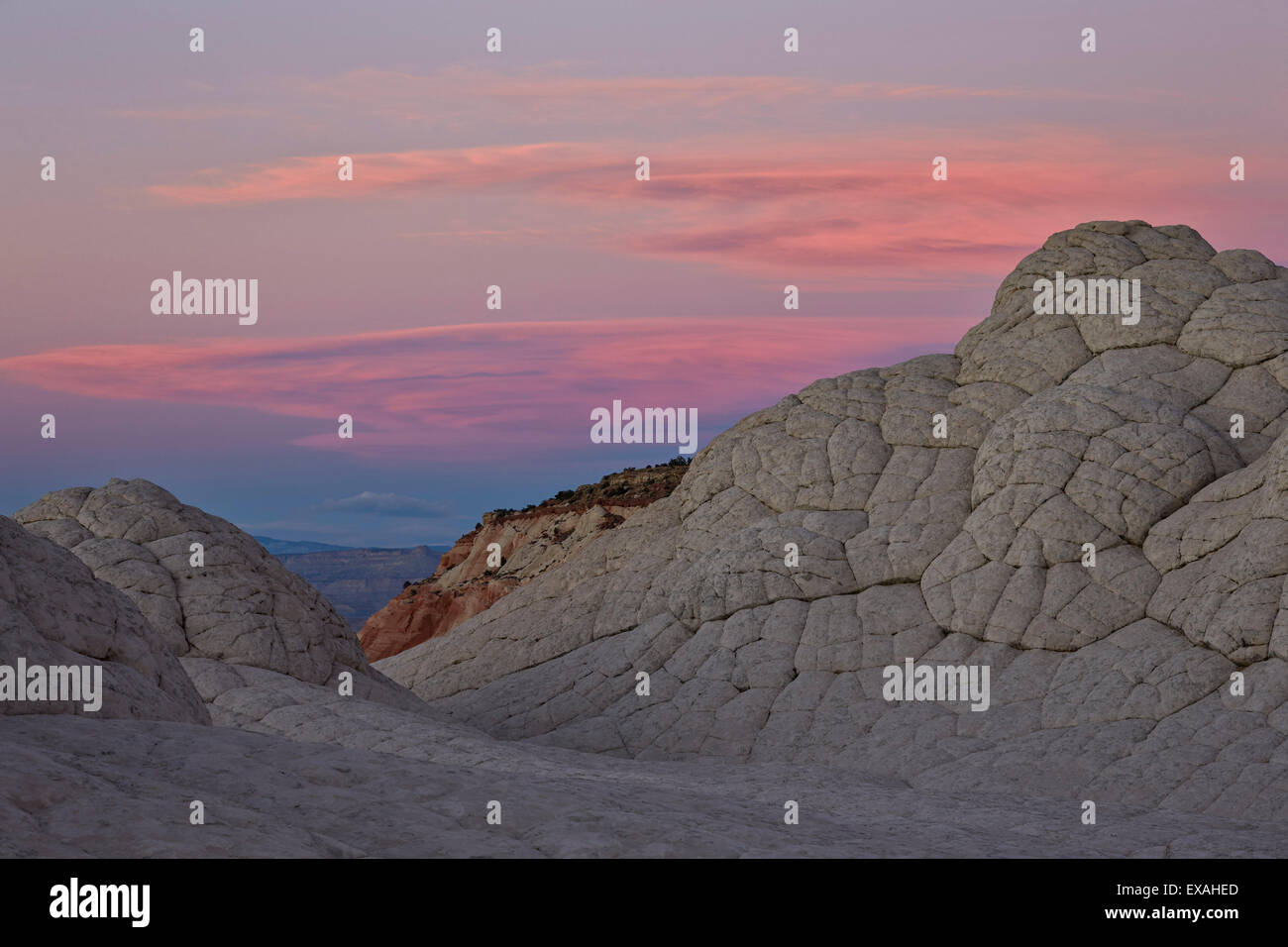 Brain Rock at sunset, White Pocket, Vermilion Cliffs National Monument ...