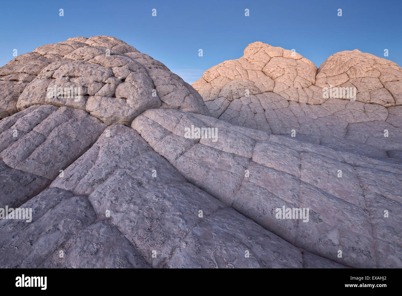 Brain Rock at dusk, White Pocket, Vermilion Cliffs National Monument ...