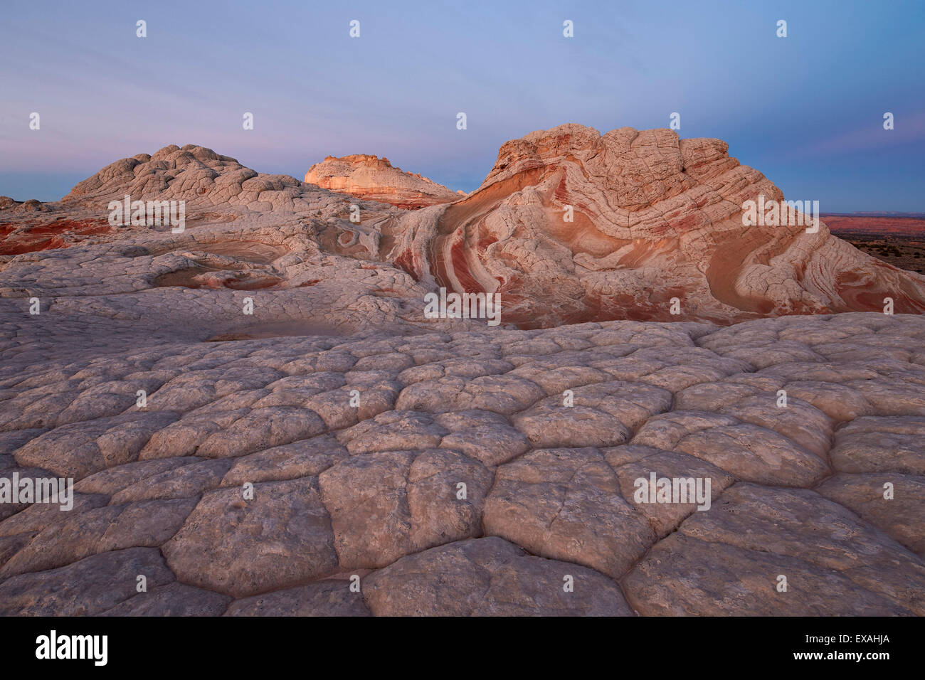 Sandstone brain rock and red and white swirls at dawn, White Pocket ...