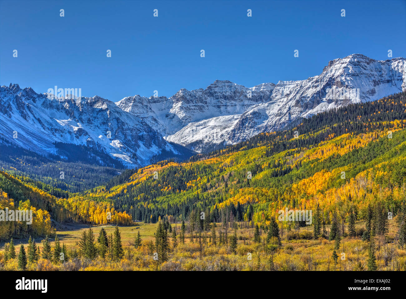 Fall Colors, of Road 7, Sneffle Range in the background, near Ouray ...