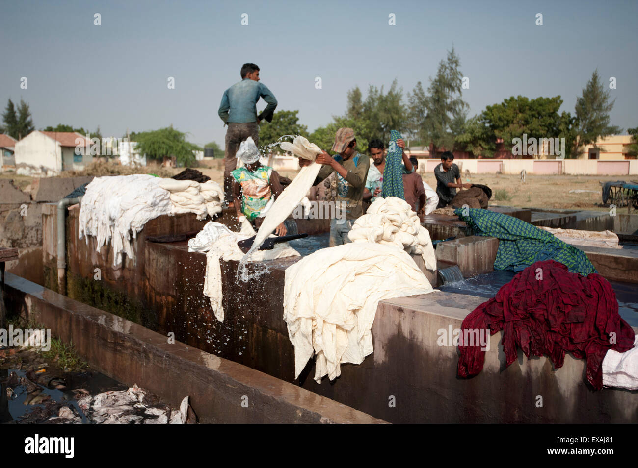 Men washing the starch out of cotton cloth in running water, before ...
