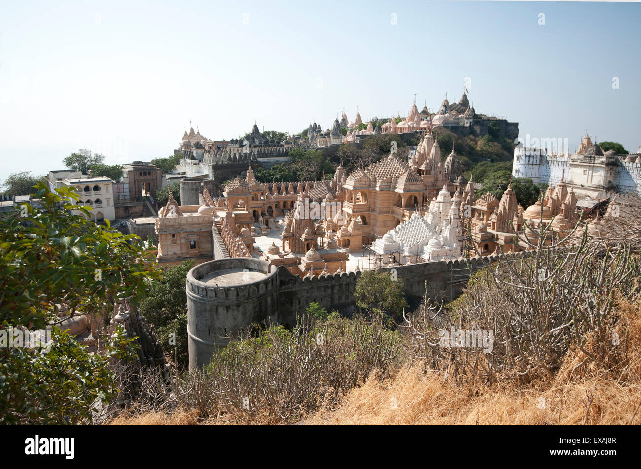 Sacred site of Shatrunjay, containing 863 Jain temples considered ...