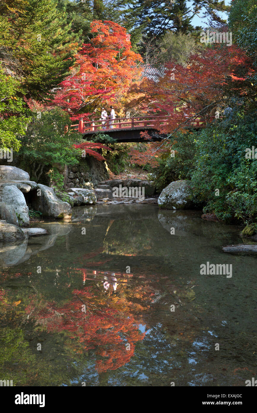 Japanese maple park hi-res stock photography and images - Alamy