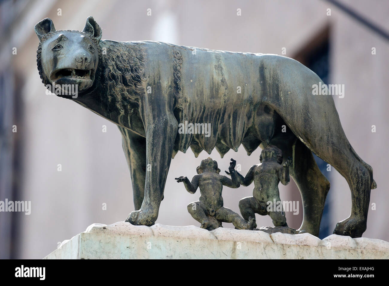 Rome statue romulus remus hi-res stock photography and images - Alamy