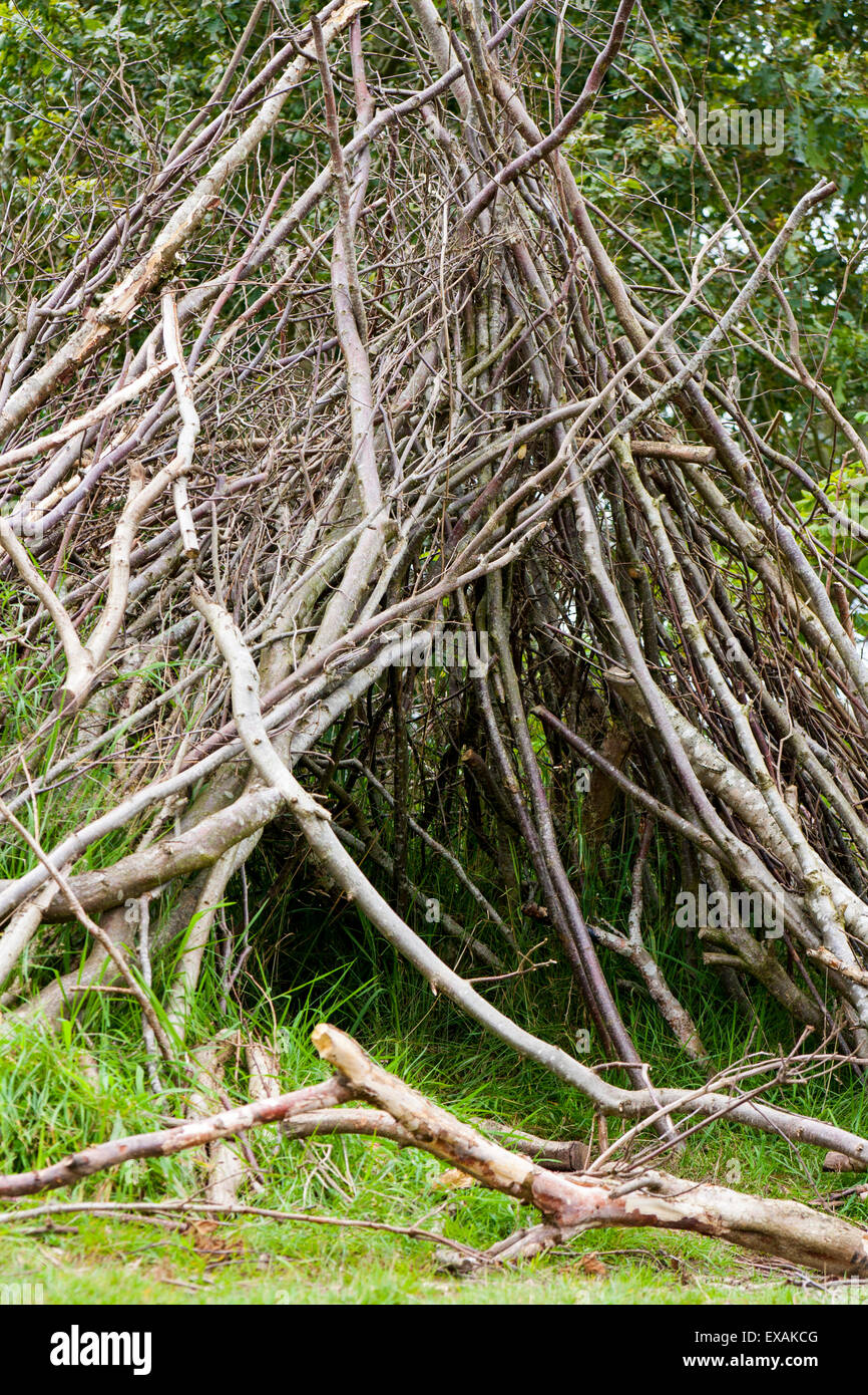 A Den shelter built by hand with branches, twigs and other forest ...