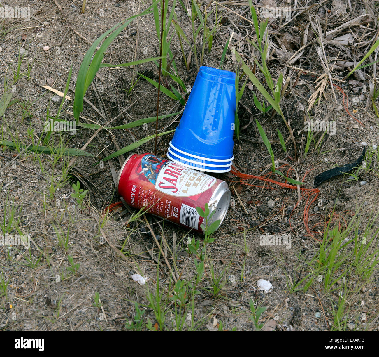 Litter. Can of soda and blue plastic cups in the dirt and grass Stock ...