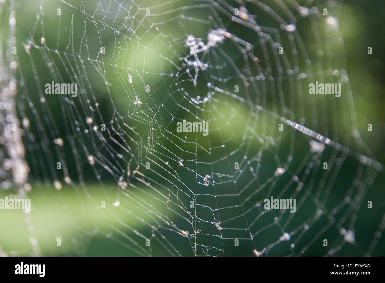 Netz hi-res stock photography and images - Alamy