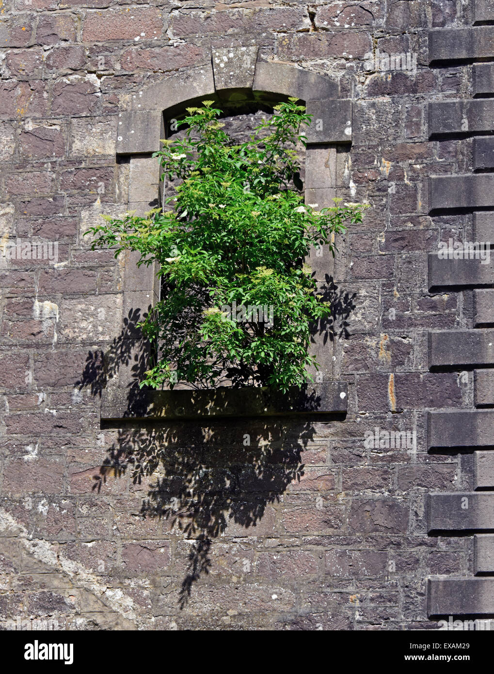 Thankerton hi-res stock photography and images - Alamy