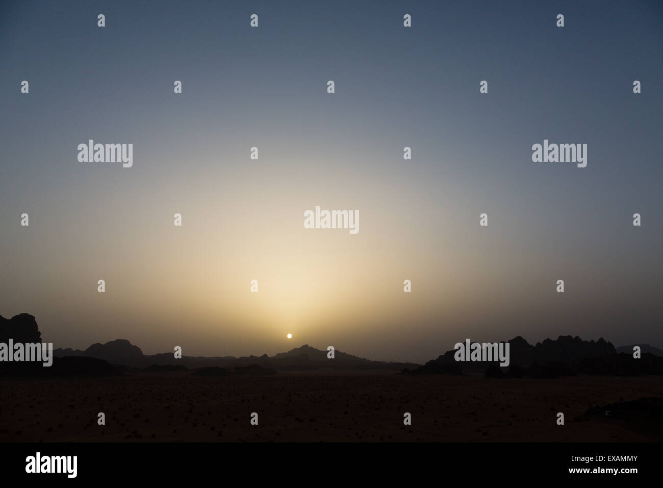 Desert ecosystem hi-res stock photography and images - Alamy