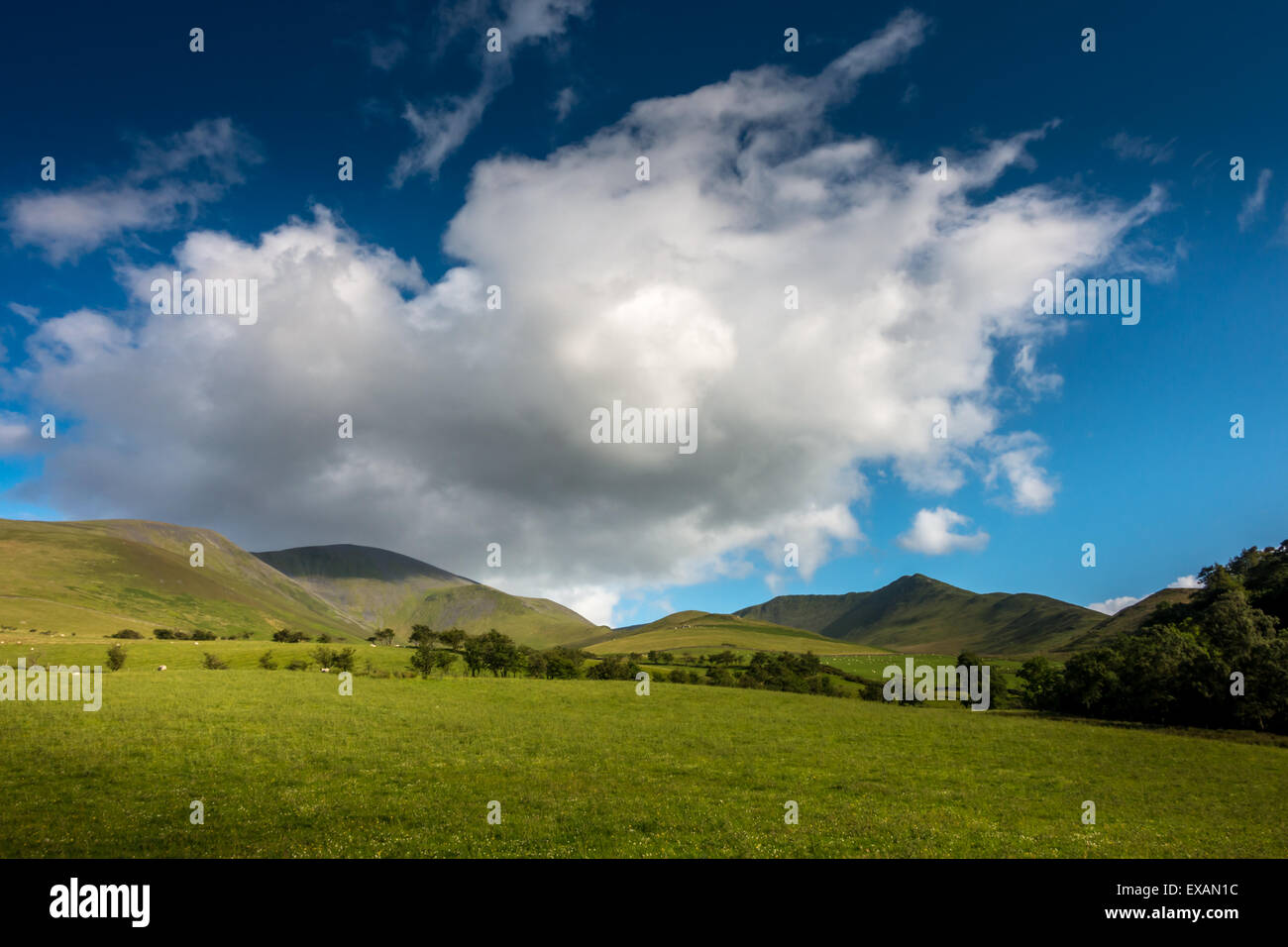 An English Lake District scene showing Skiddaw and the Ullock Pike ...