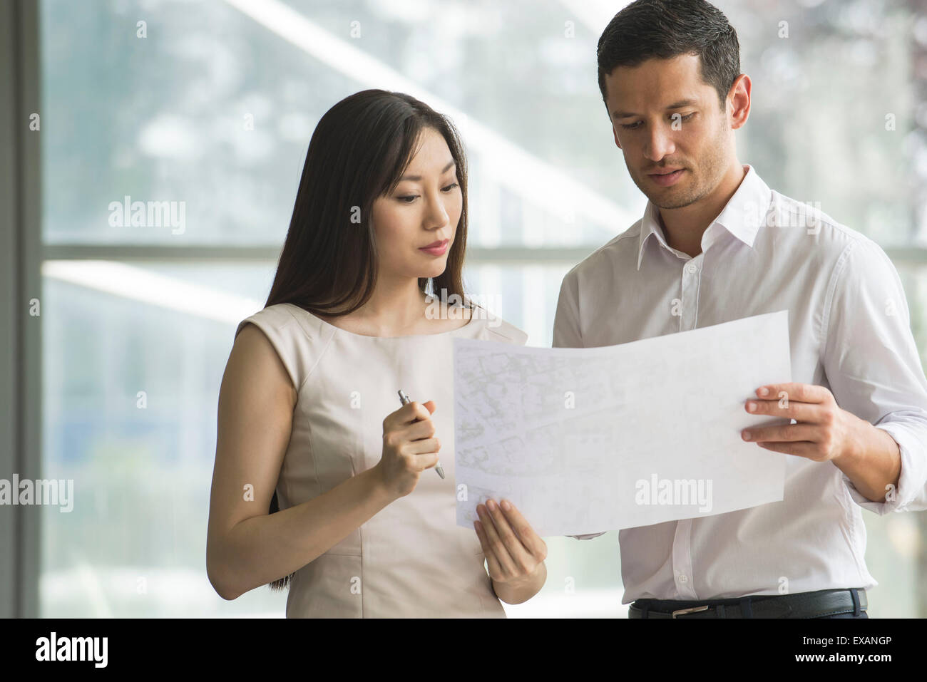 Colleagues working together Stock Photo - Alamy