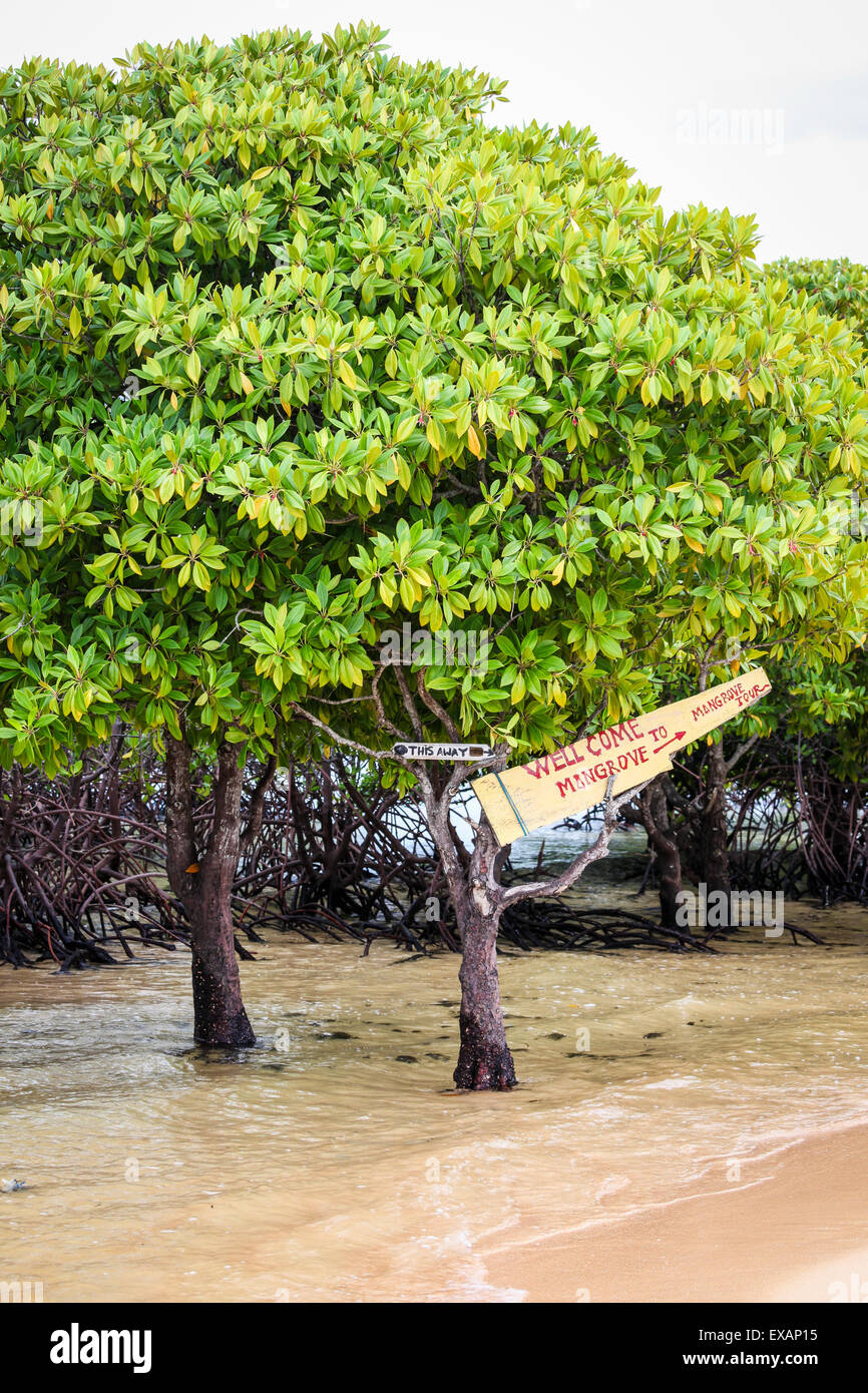 Mangrove tour sign in tree Stock Photo - Alamy