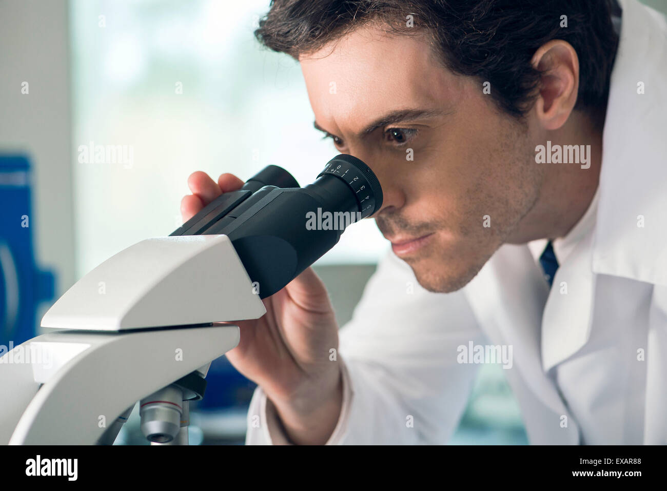 Images under microscope hi-res stock photography and images - Alamy