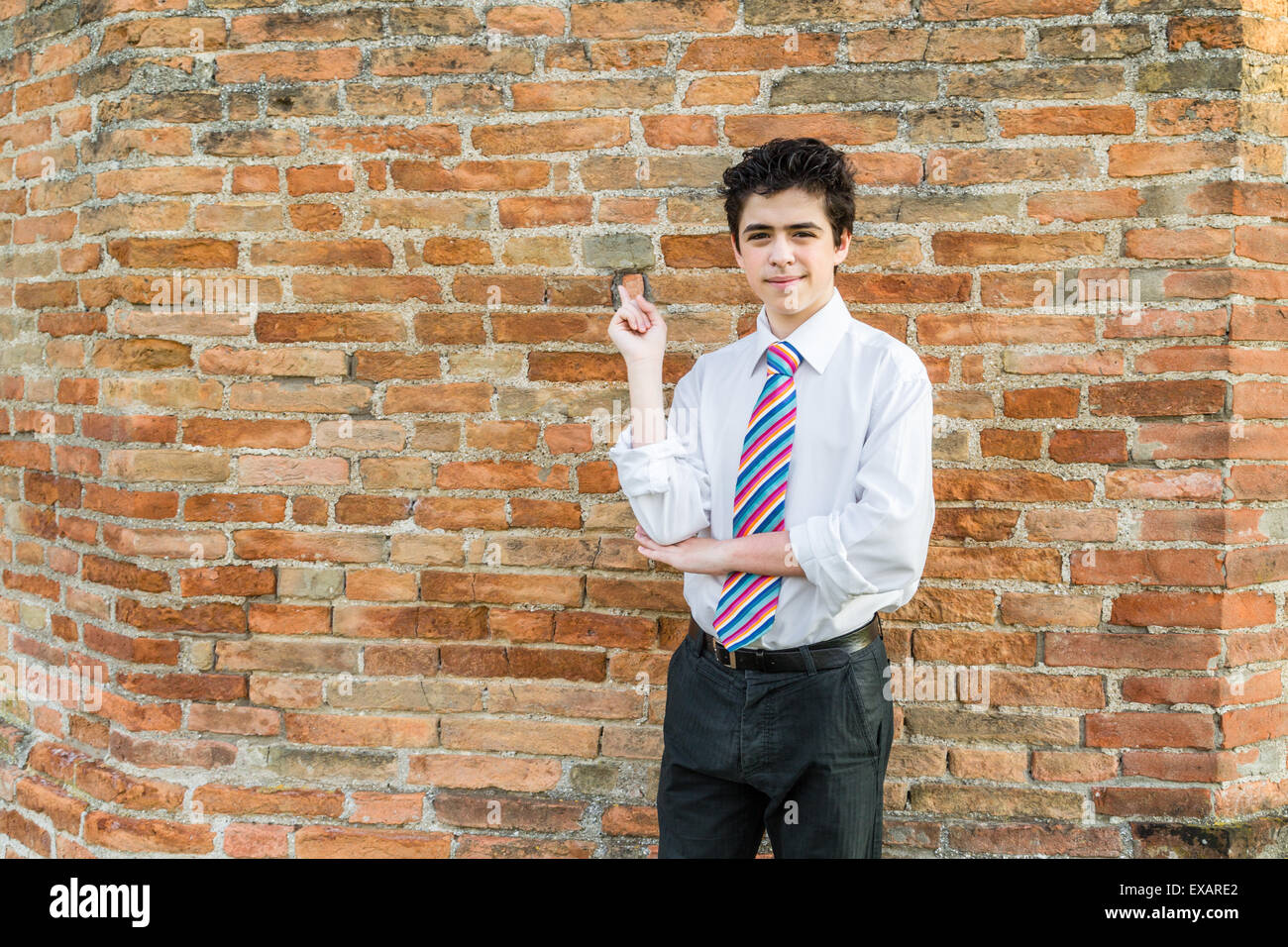 Handsome Caucasian boy wearing a white shirt and a regimental tie with ...