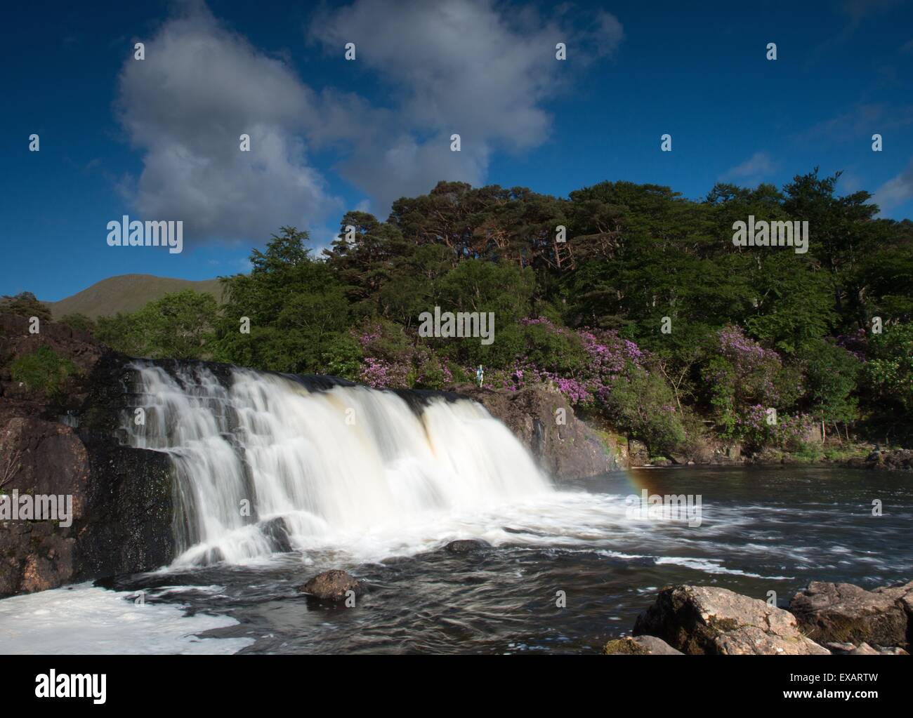 Ashleigh Falls, Co. Mayo, Ireland Stock Photo - Alamy