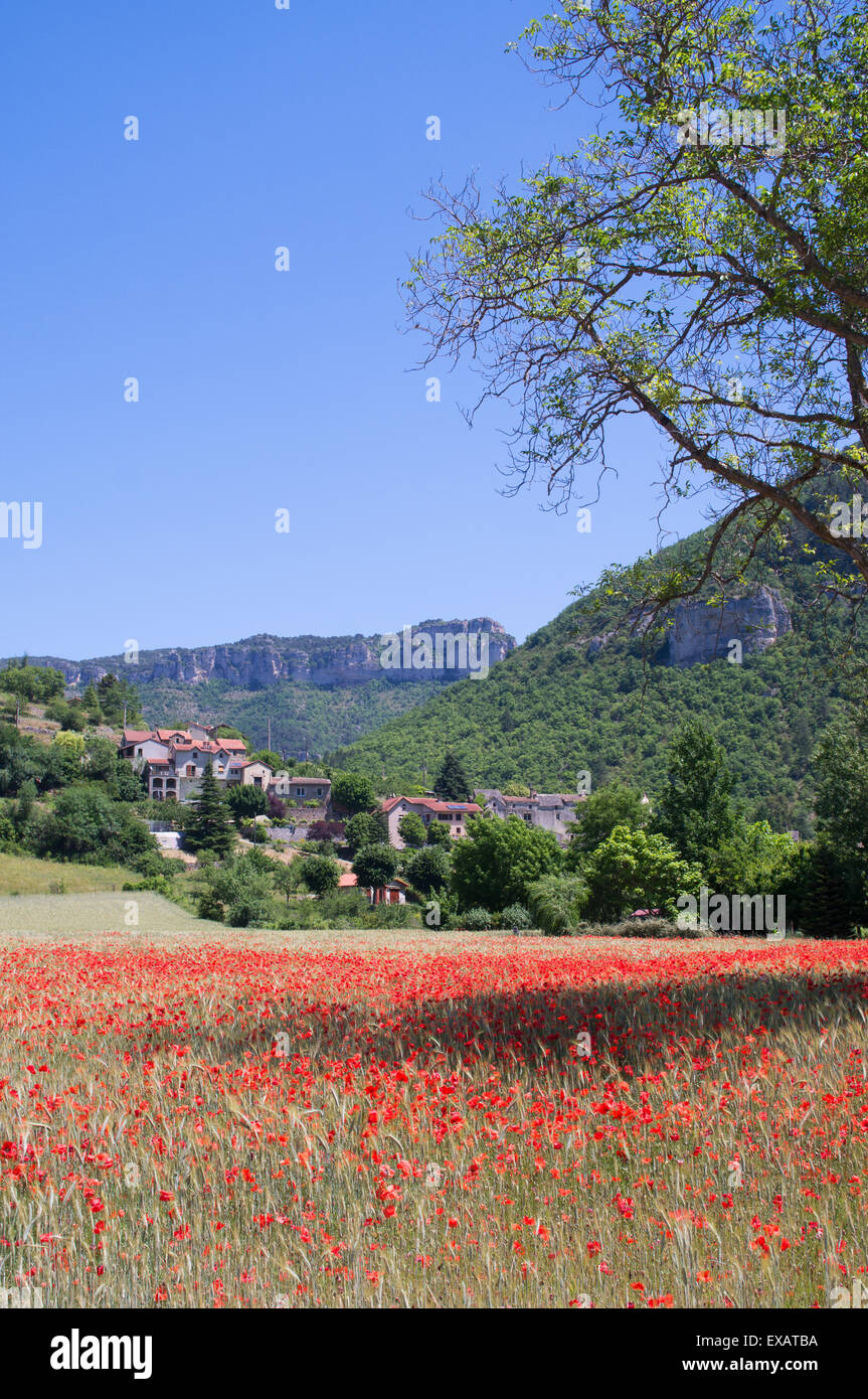 Dourbie Gorge High Resolution Stock Photography and Images - Alamy
