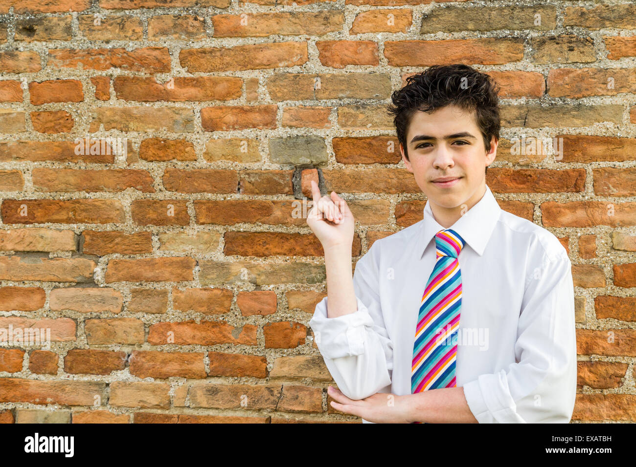 Handsome Caucasian boy wearing a white shirt and a regimental tie with ...