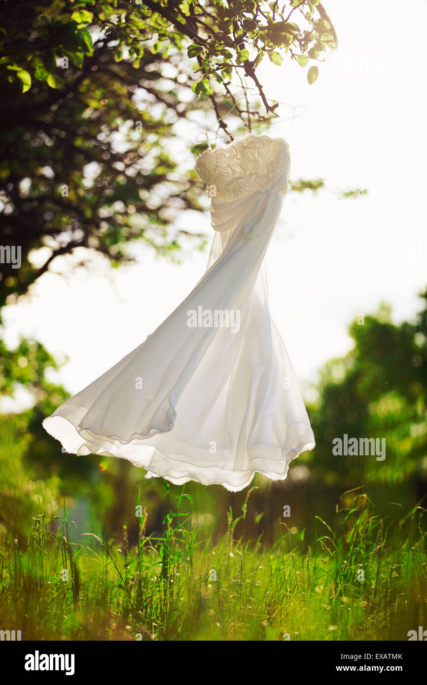 Wedding dress hangs in the tree Stock Photo - Alamy