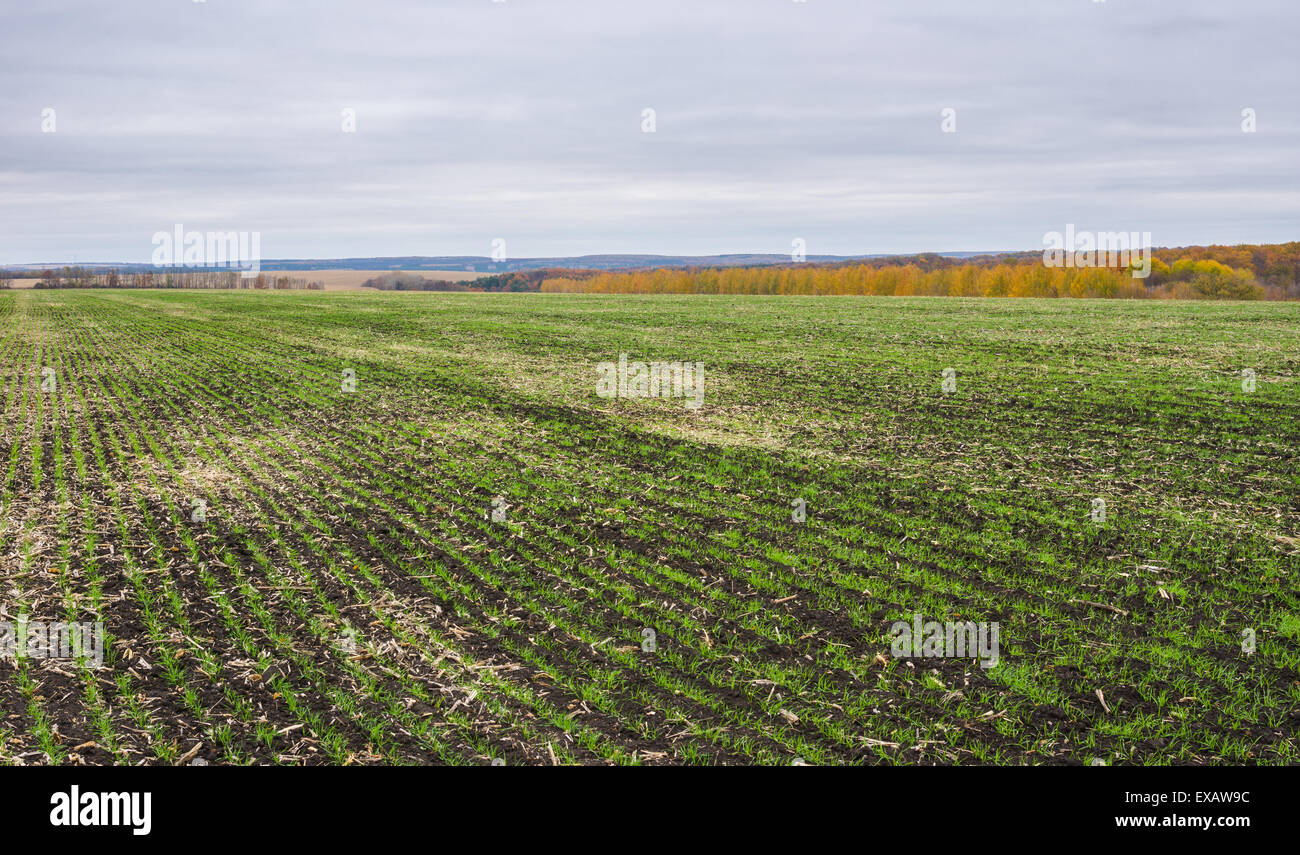 Ukrainian Soil High Resolution Stock Photography and Images - Alamy