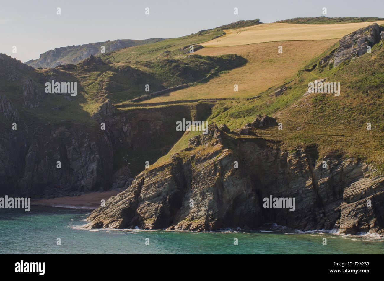 Rocky cliff and coast, East Prawle, Gammon Head, Devon, West Coast, UK ...