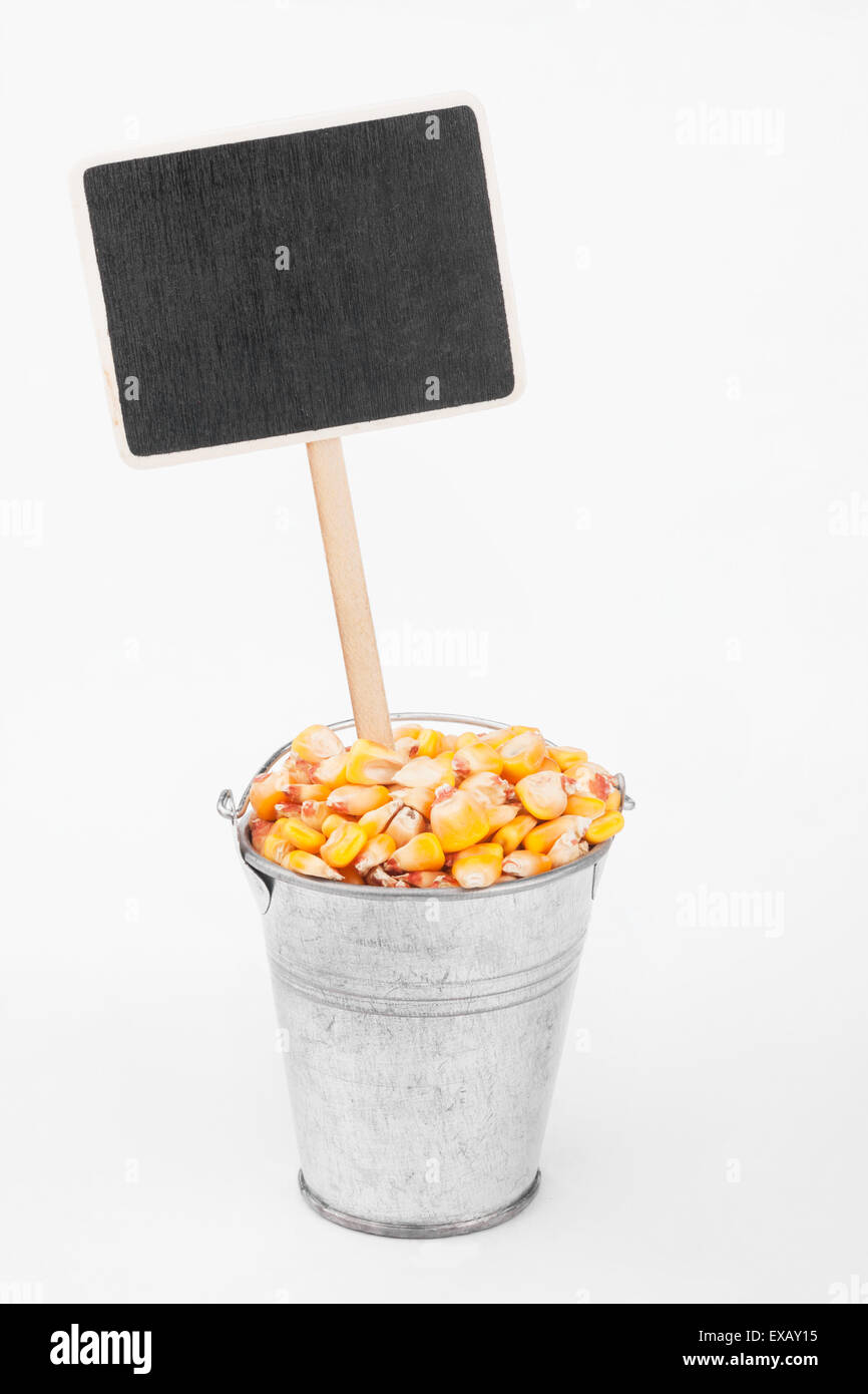 Pointer, price in bucket of corn grains, on a white background Stock ...