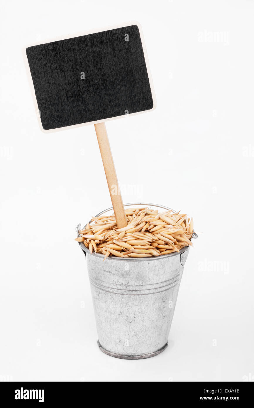 Pointer, price in bucket of oats grains, on a white background Stock ...
