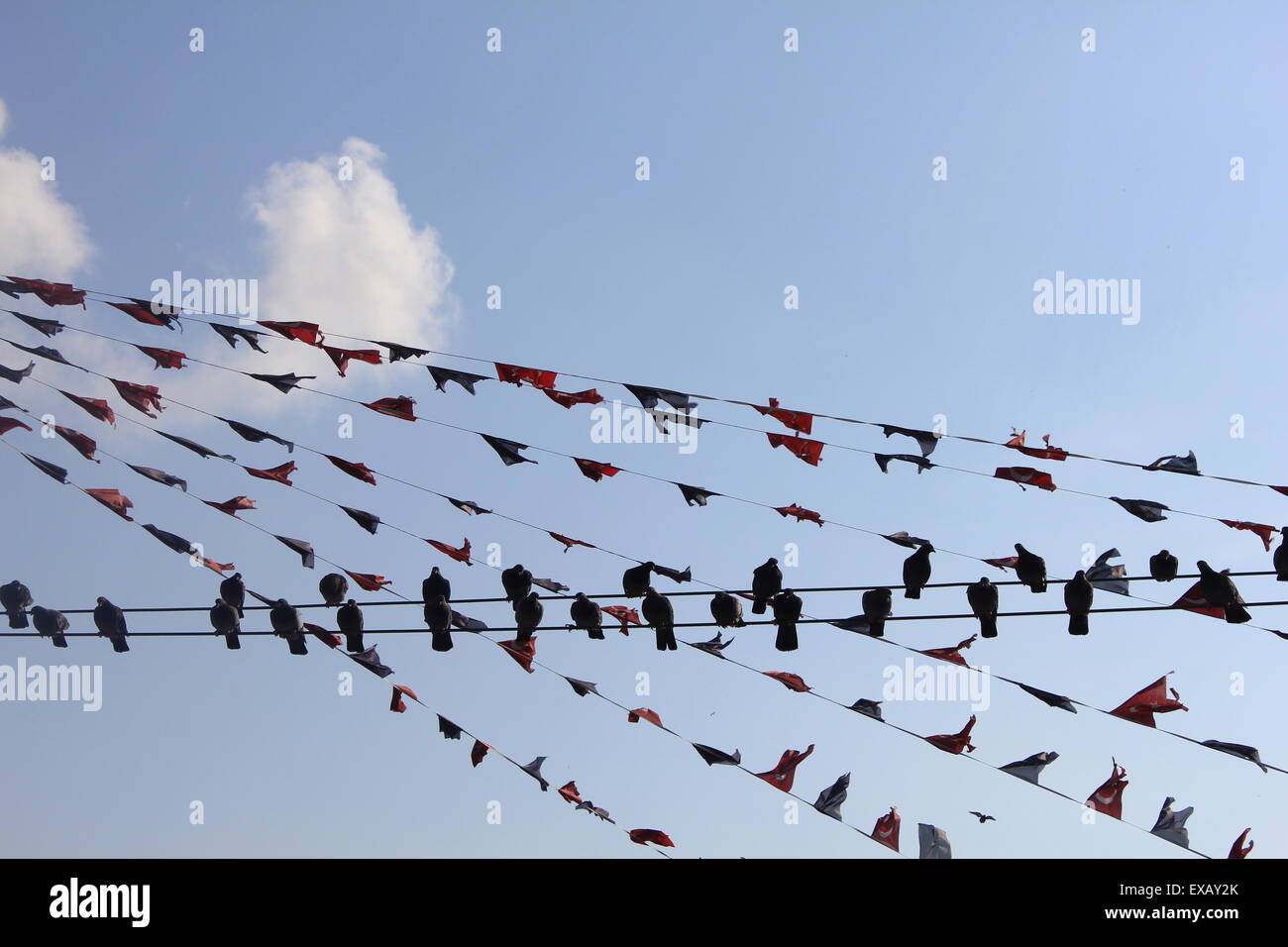 Birds and flags Stock Photo - Alamy