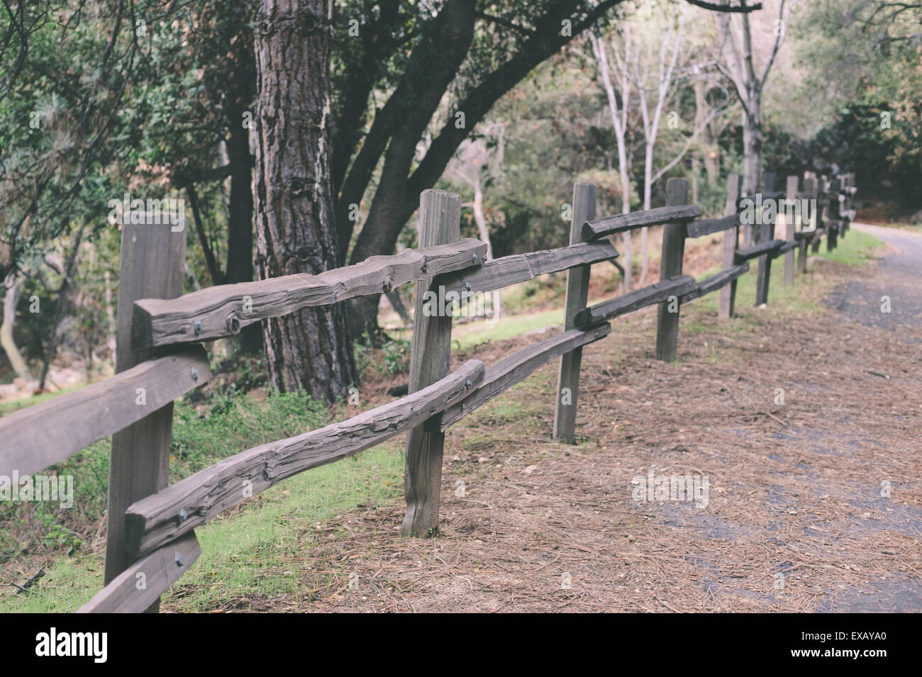 Paved path fence rocks hi-res stock photography and images - Alamy