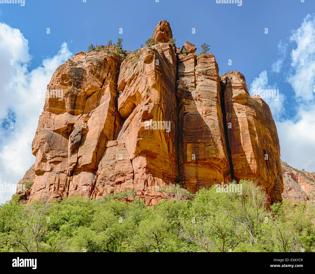 High achievers hi-res stock photography and images - Alamy