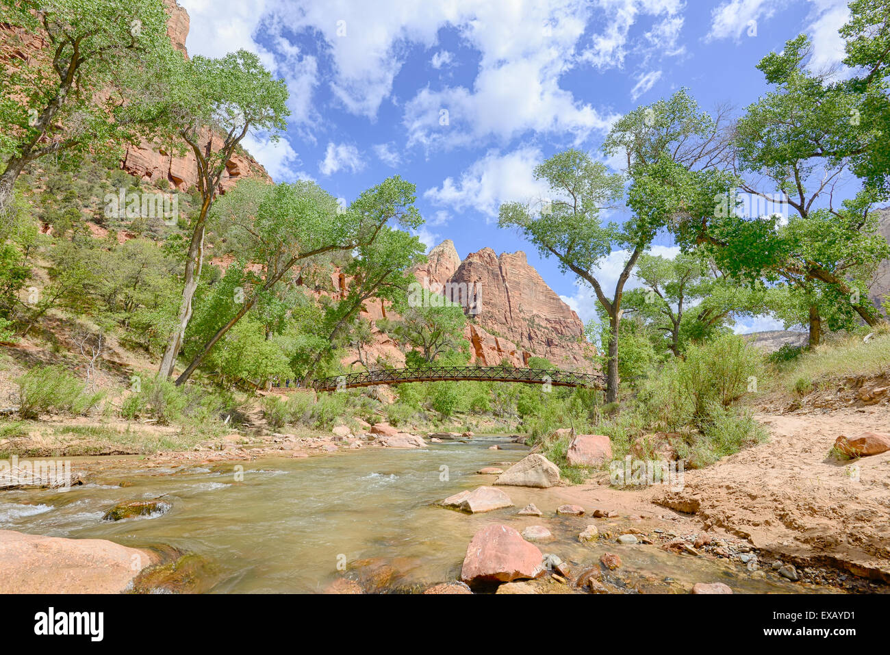 Emerald Pools Trail Bridge above the Virgin River, in Zion National ...