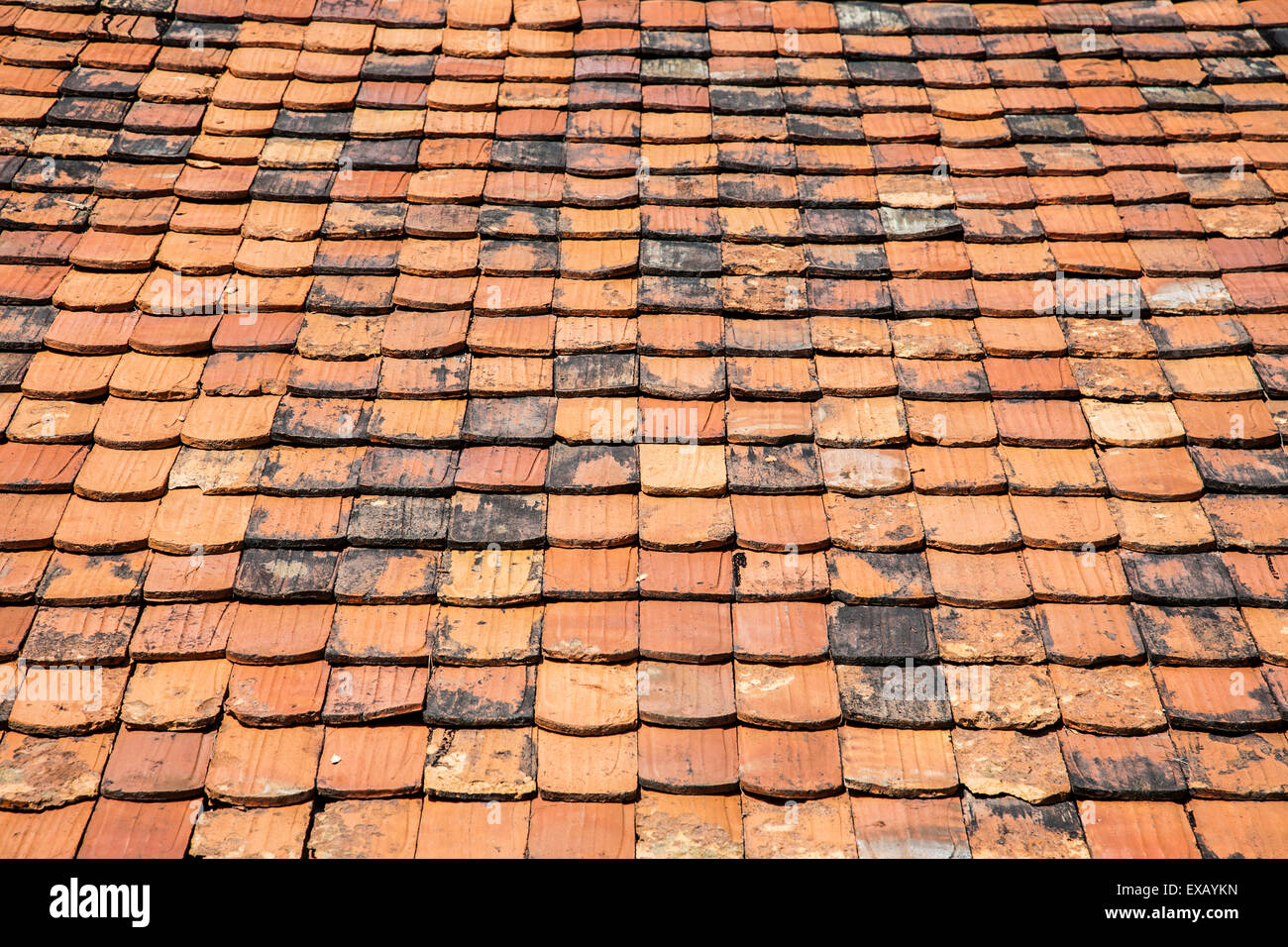 Orange weathered slate roof tiles close up on a vintage house in ...