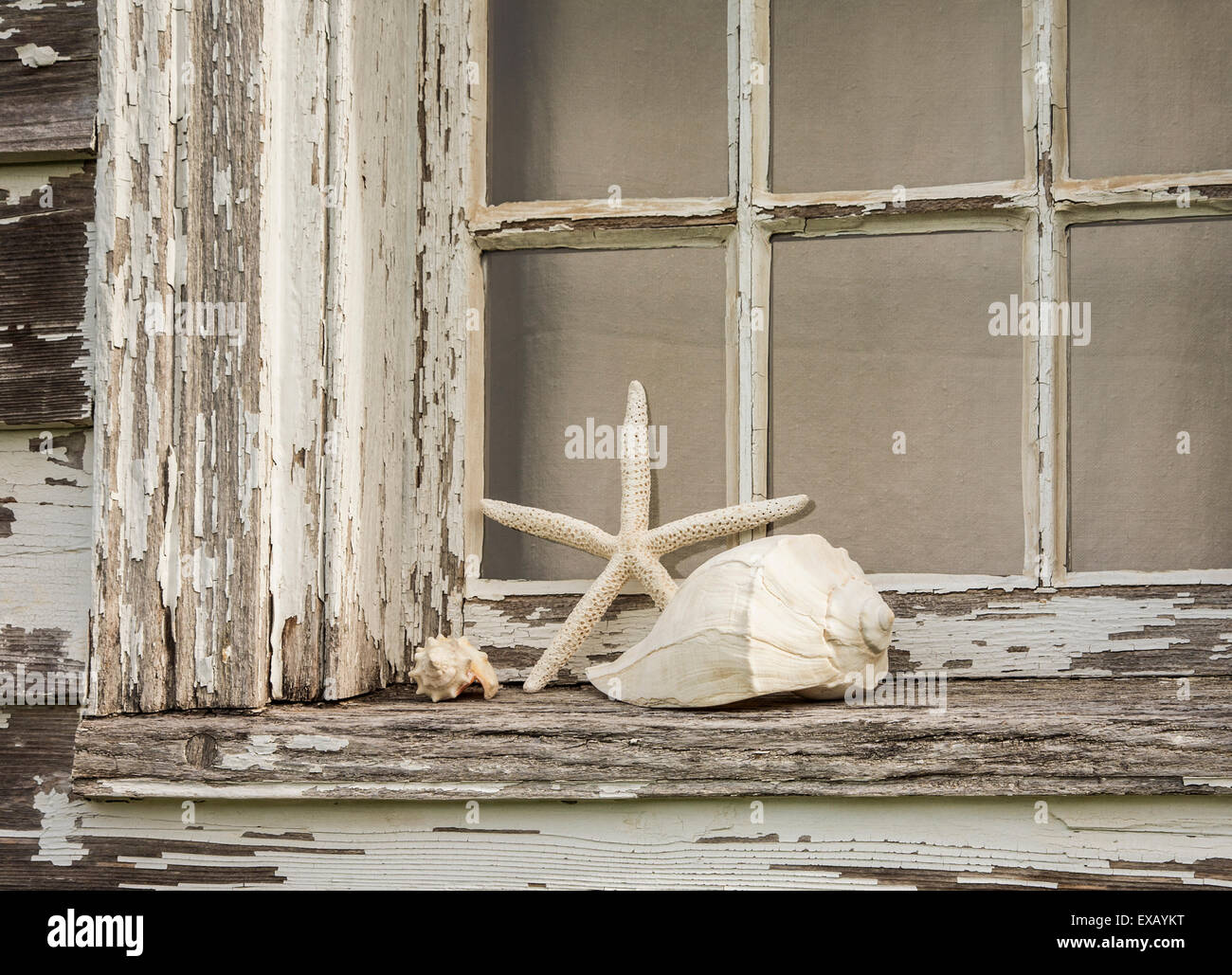 Seashell house exterior hi-res stock photography and images - Alamy