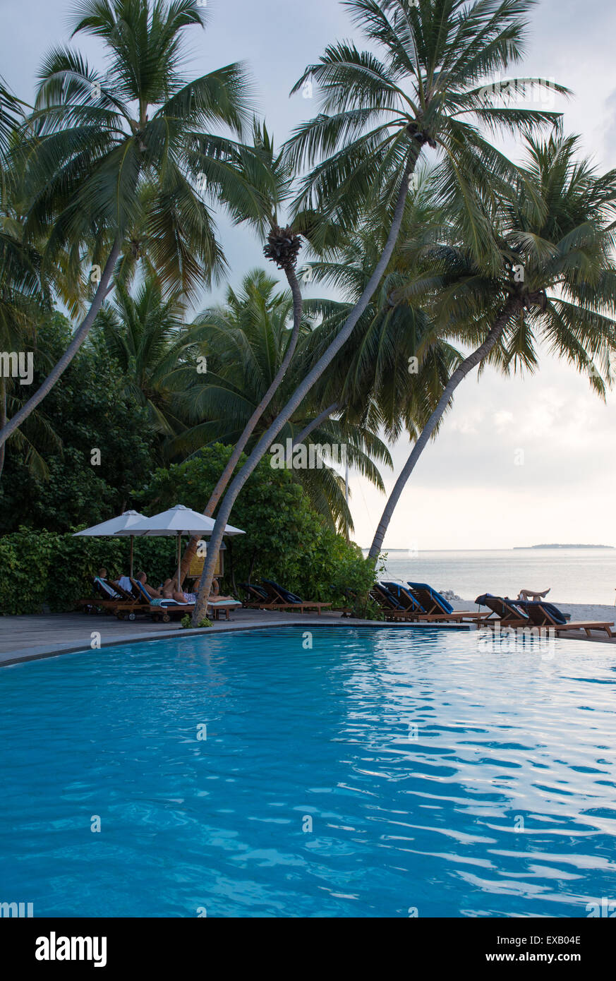 Palm trees on an island resort in Maldives Stock Photo - Alamy