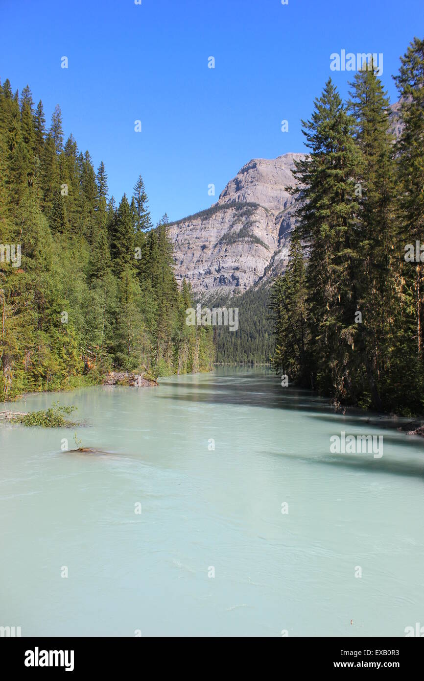 Full fed hi-res stock photography and images - Alamy