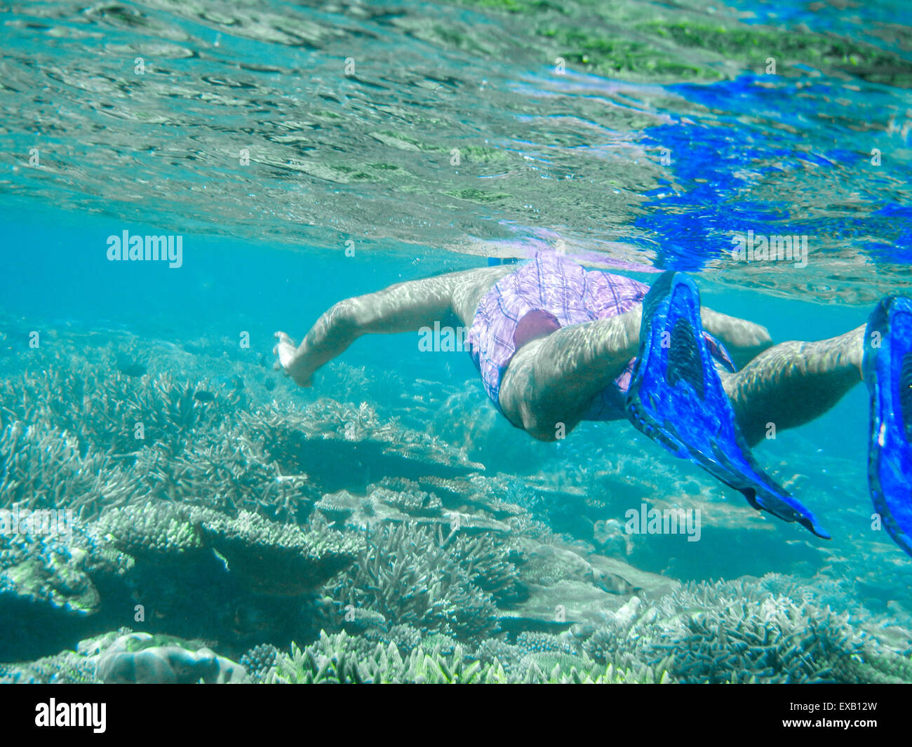 Over under water coral reef hi-res stock photography and images - Alamy