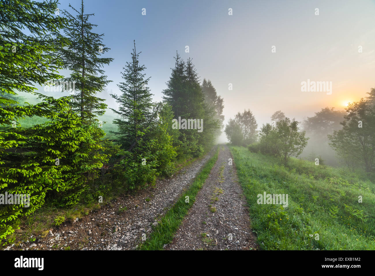 Beautiful sunrise with the morning mist. Ukraine Stock Photo - Alamy