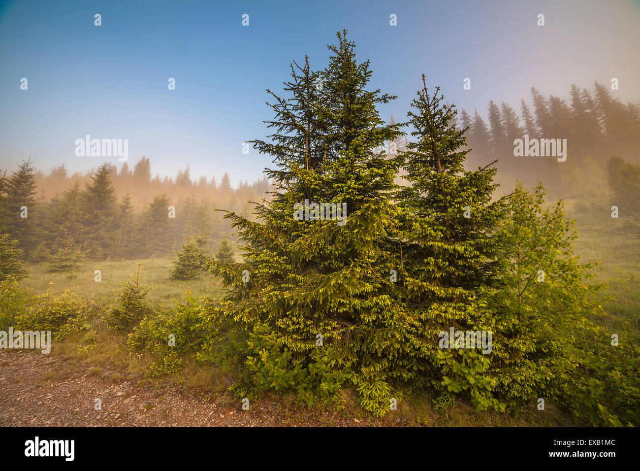 Beautiful sunrise with the morning mist. Ukraine Stock Photo - Alamy